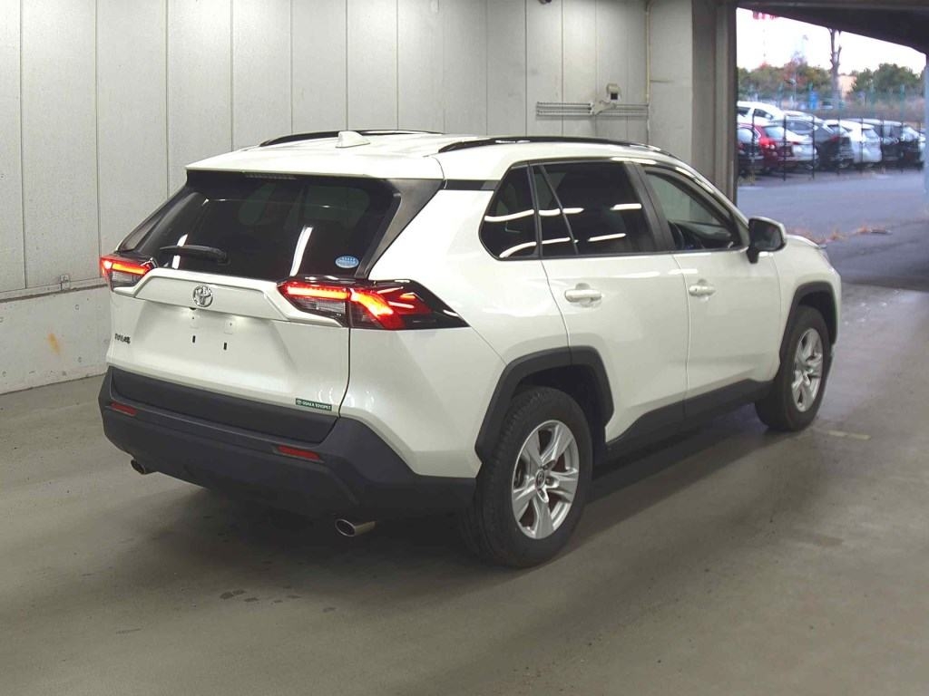 Showa International Ltd